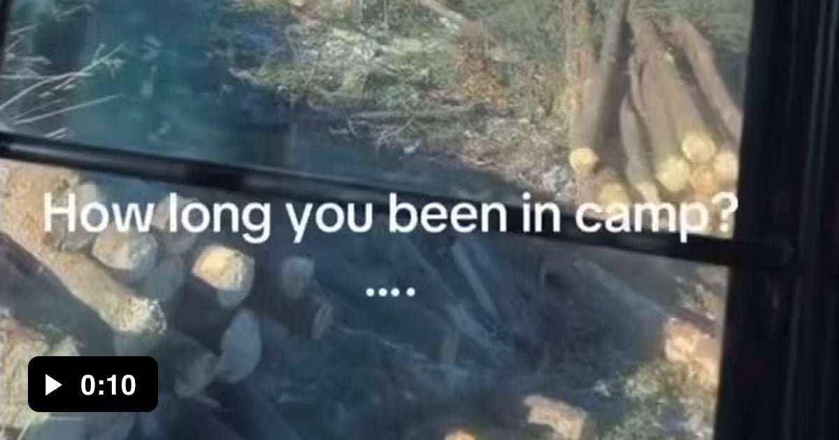 Logging are fun - 9GAG