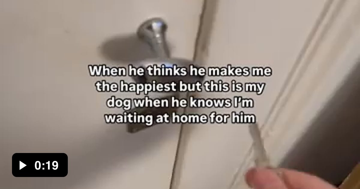 This is what pure love looks like - 9GAG