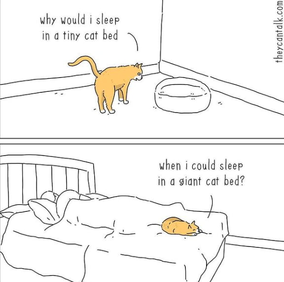 Why would i sleepin a tiny cat bed? - 9GAG