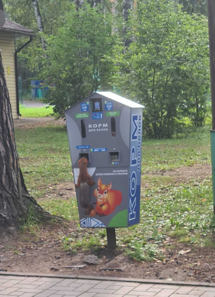 Inscription - "squirrel food" - 9GAG