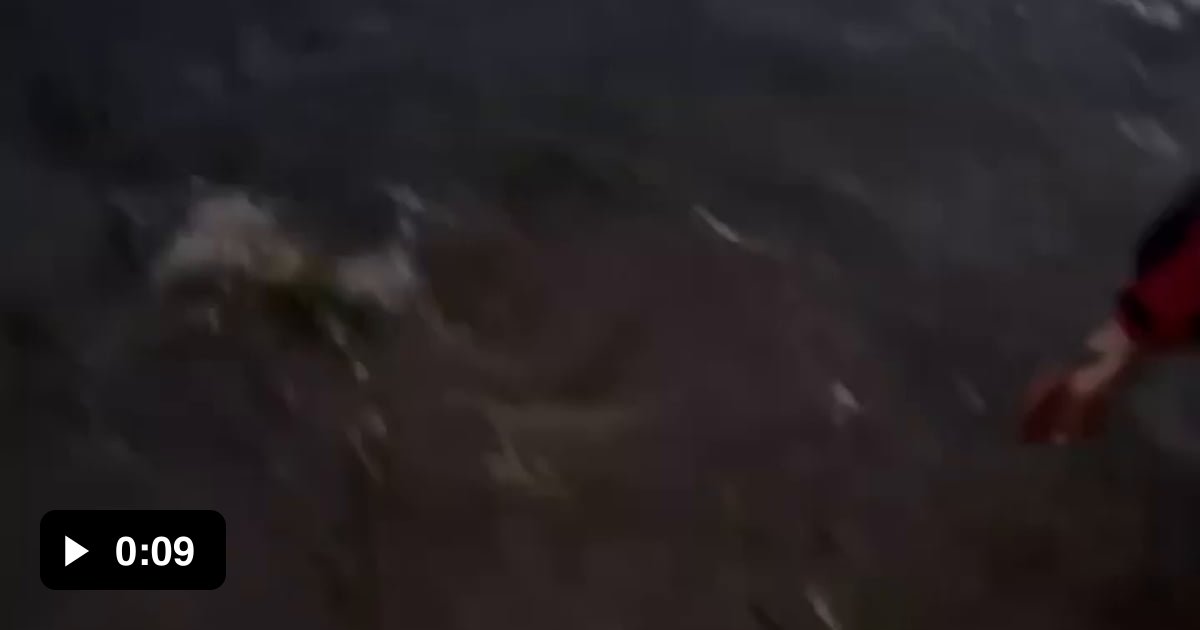 New fishing method just dropped - 9GAG