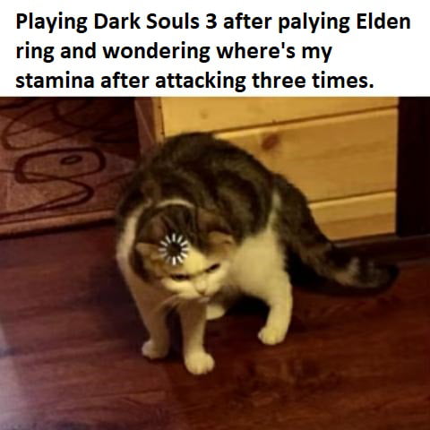 Elden Ring spoiled me. 5 hits, 2 ash of war and still enough to roll and jump. - 9GAG