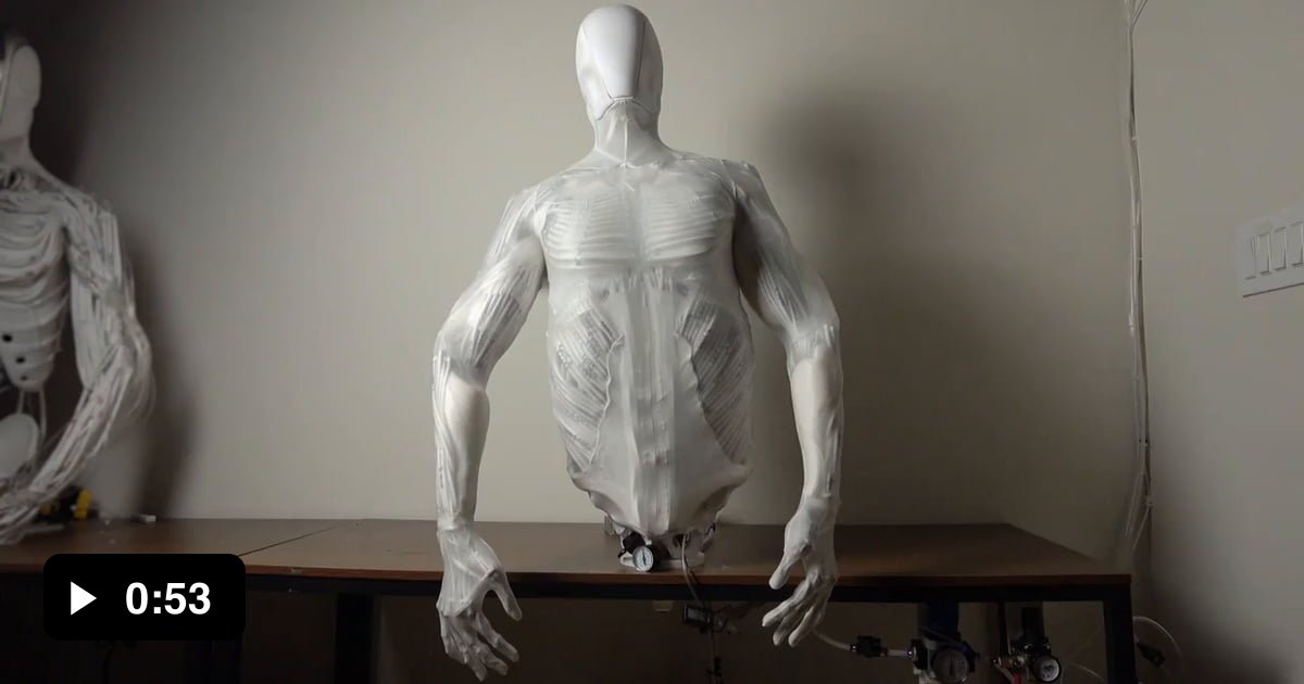 This robotic torso using water-based hydraulics in its muscle system ...