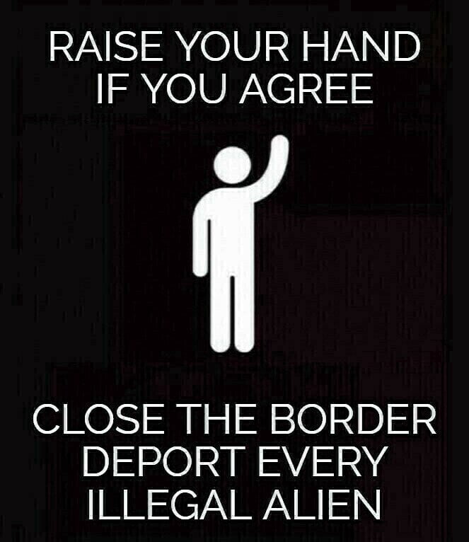 Can i raise two hands for double agreement? - 9GAG