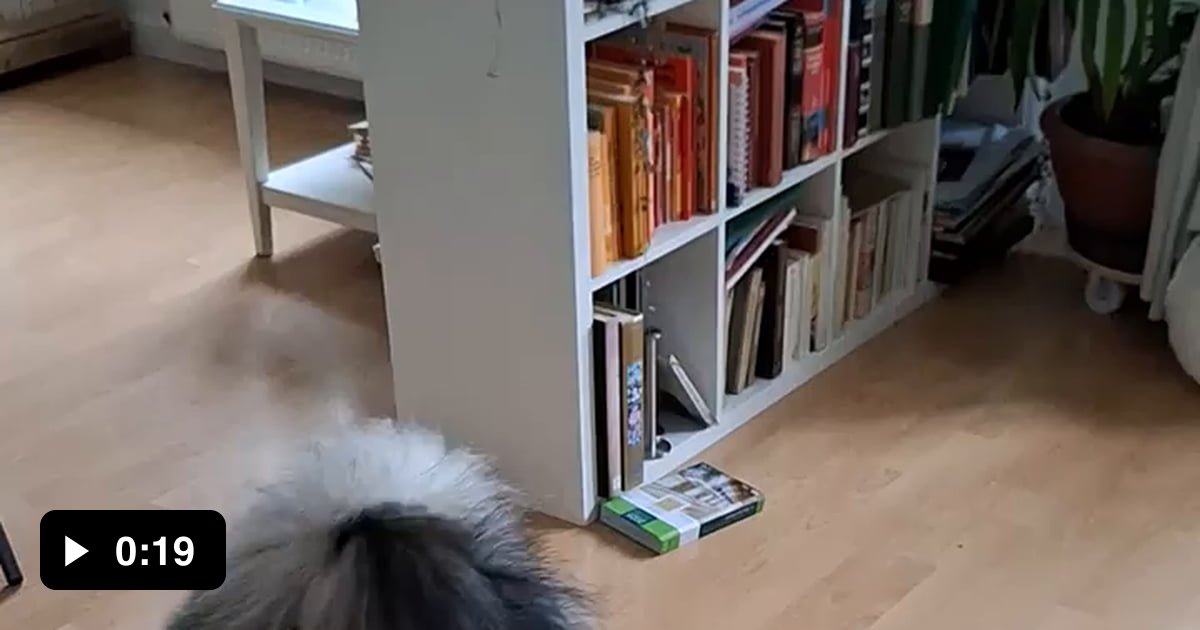 Doggo loves a good back scratch - 9GAG