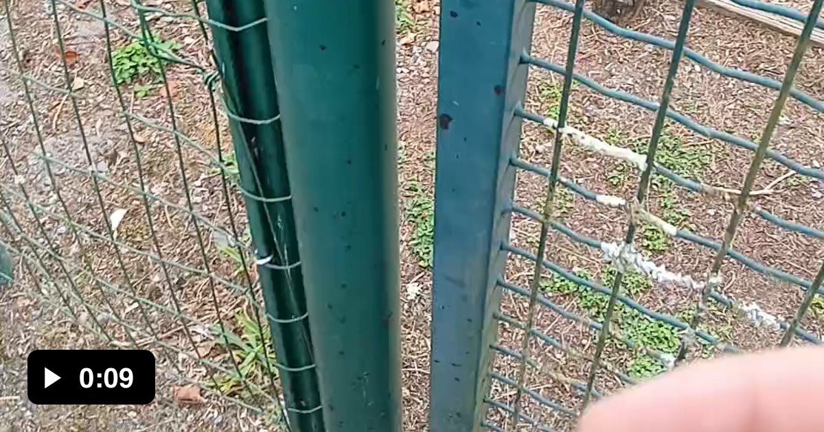 French security at its best - 9GAG