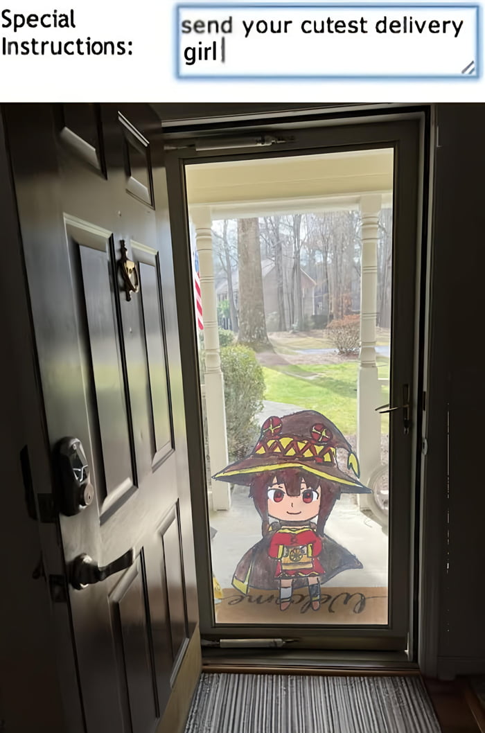 Special instructions fulfilled, a cute delivery girl has arrived - 9GAG