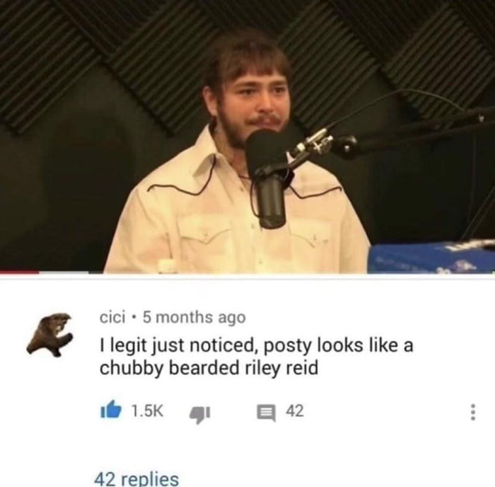 Post Malone is riley Reid's long lost twin - 9GAG
