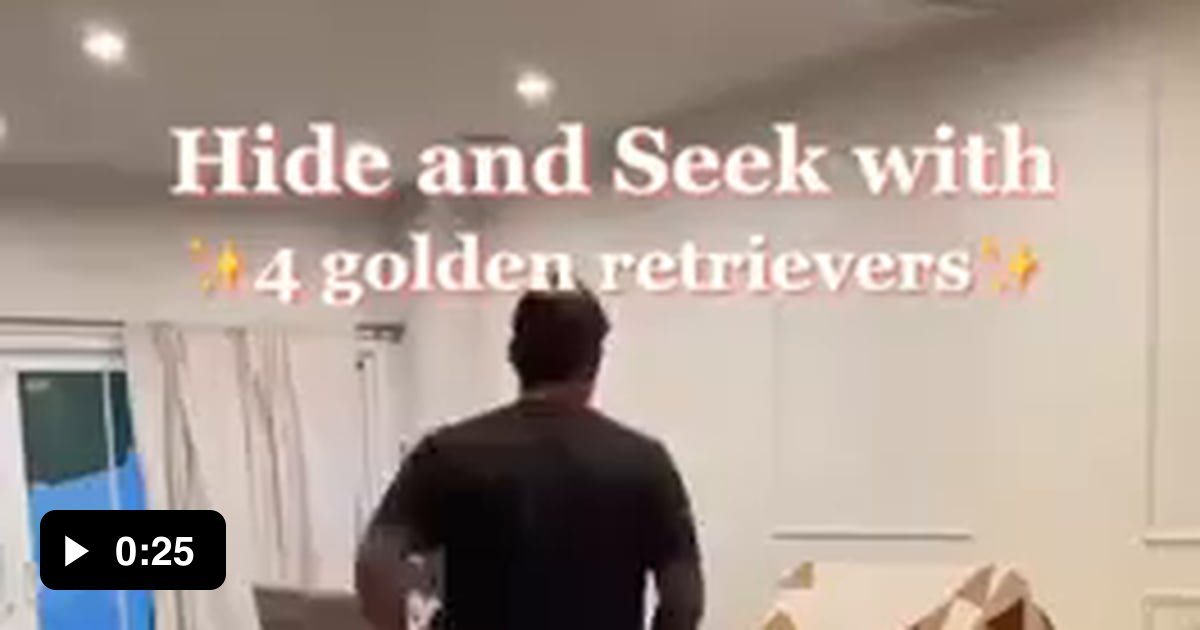 Playing hide and seek - 9GAG