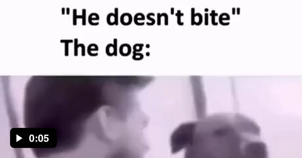 The dude gets the dog, an unexpected way out of the situation - 9GAG