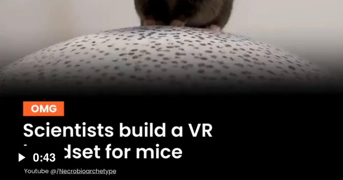Scientists build a VR headset for mice - 9GAG