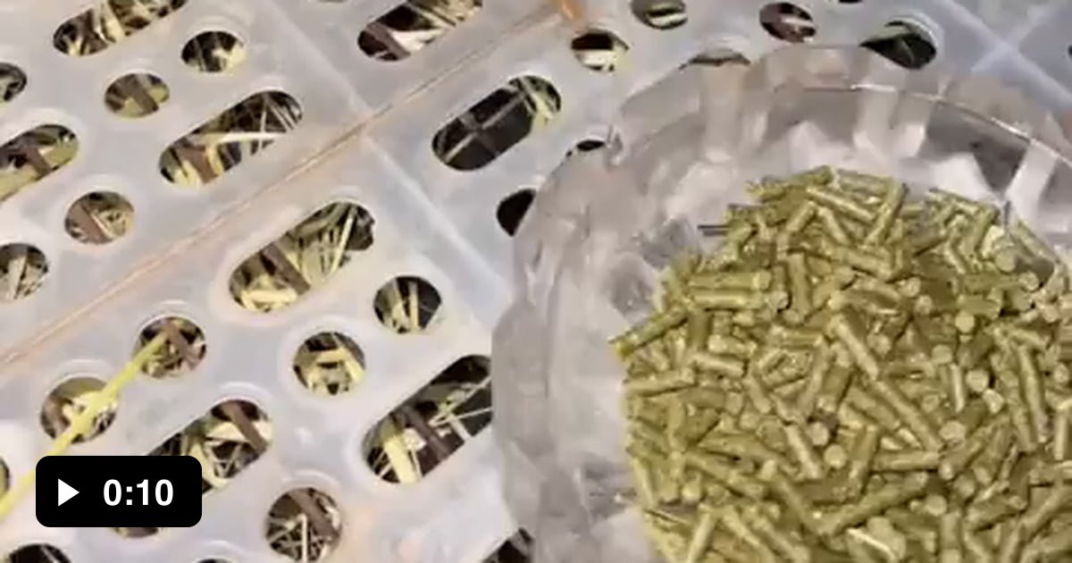 Too darn cute😠😂 - 9GAG