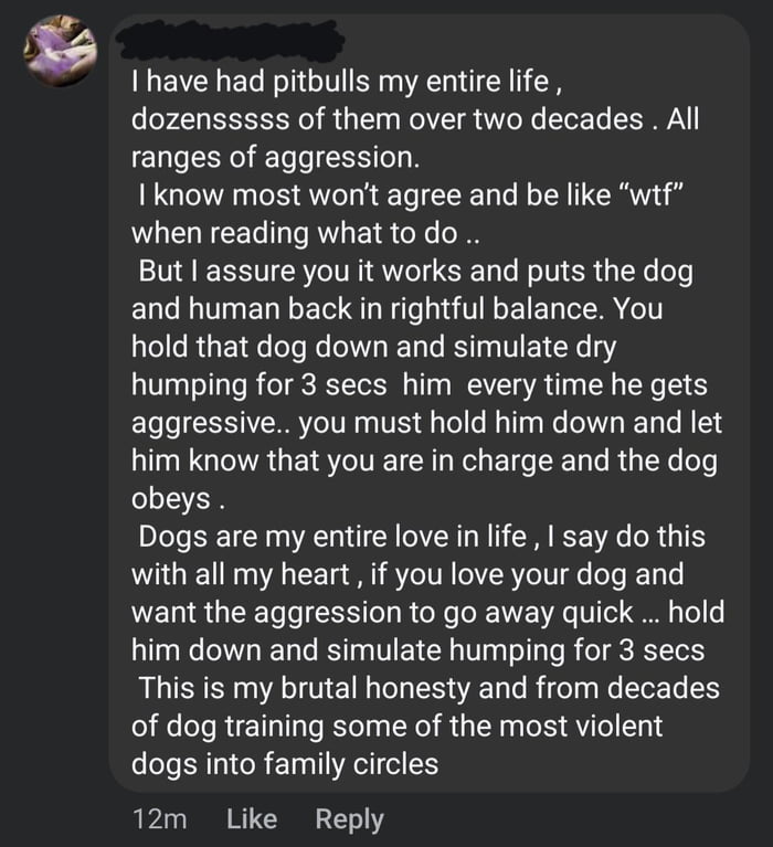 Dog training 101 - 9GAG