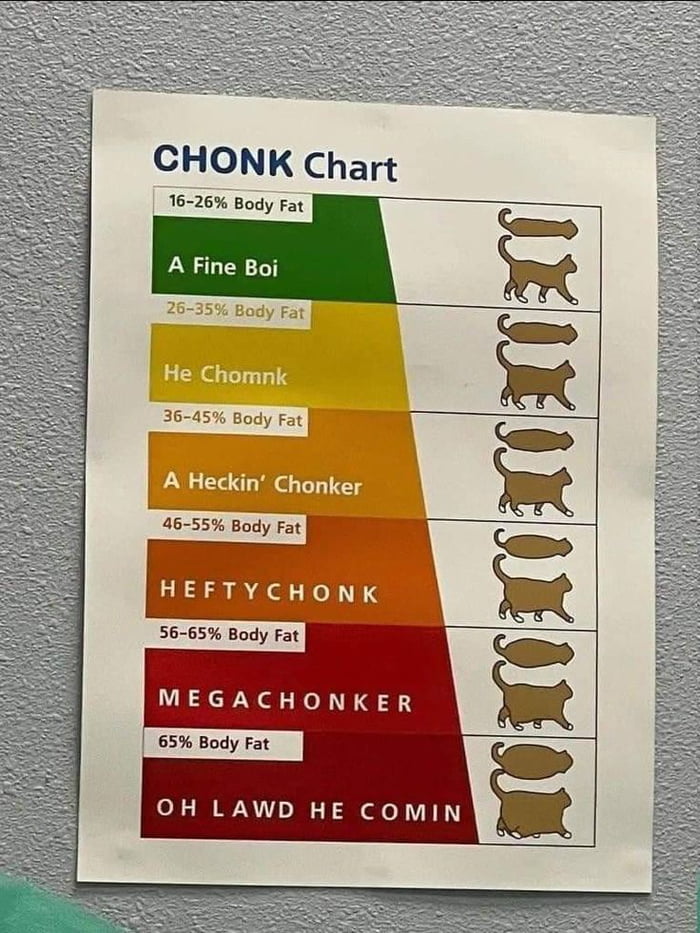 Chunk chart repost, keep your cats a fine boi - 9GAG