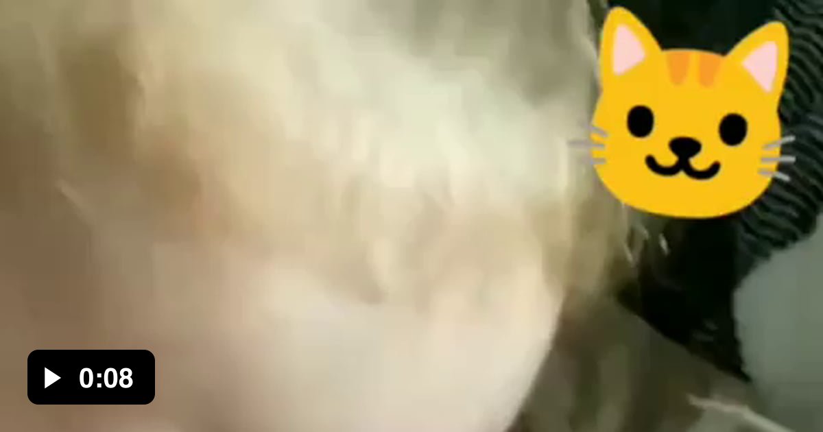 The accent makes it so much better! Toe beans! - 9GAG