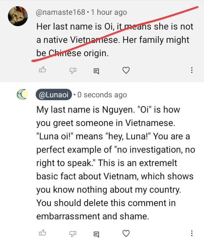 Luna Oi on YouTube destroys ignorant commenter - 9GAG
