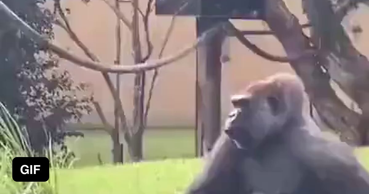 Here's a very random gif dump to brighten your day. More in the ...