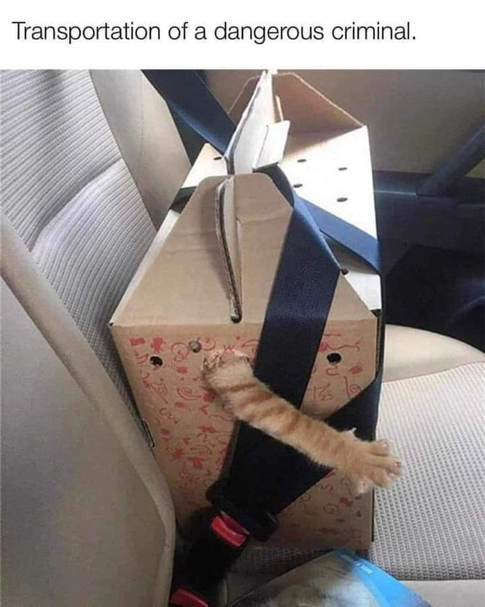 Dangerous criminal - 9GAG