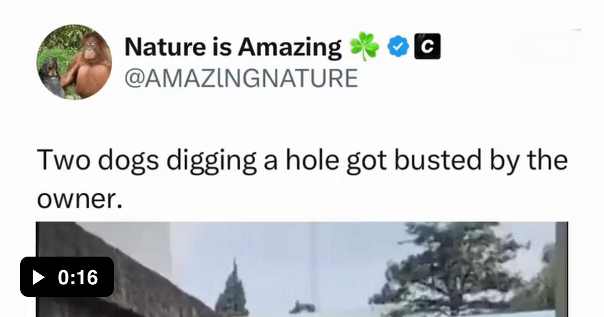 Come out bro we have been busted - 9GAG