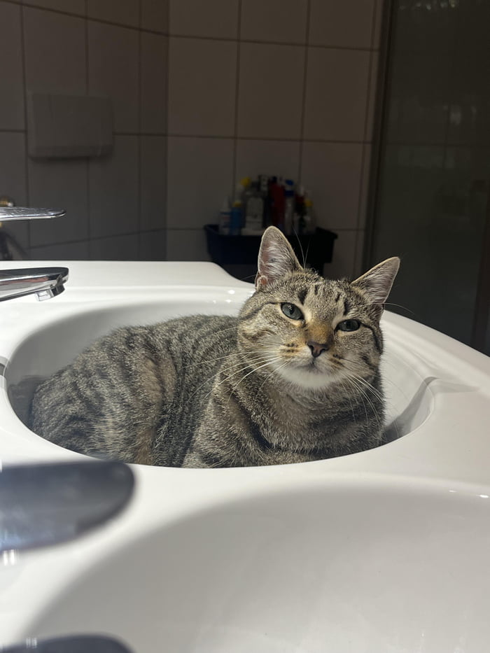 Good Night From Ruby 9gag 9657