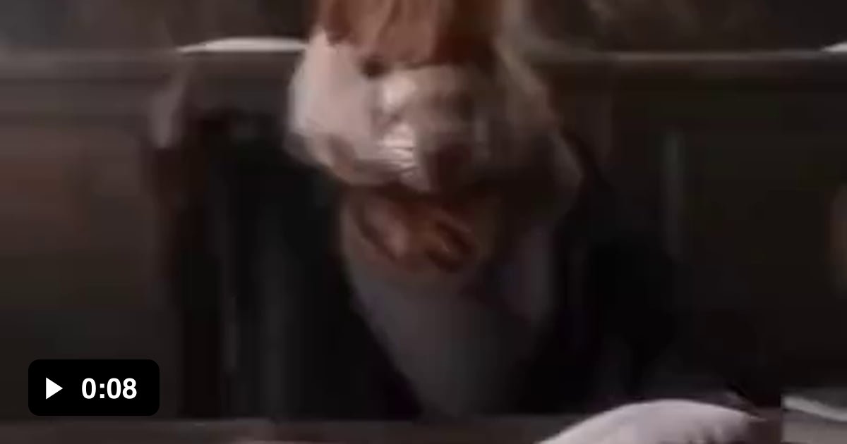 Bober Potter and the Deathly Dam - 9GAG