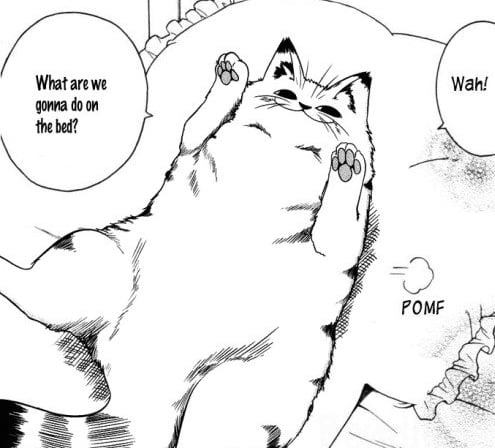 A cat i pomf too (if you catch my drift) - 9GAG