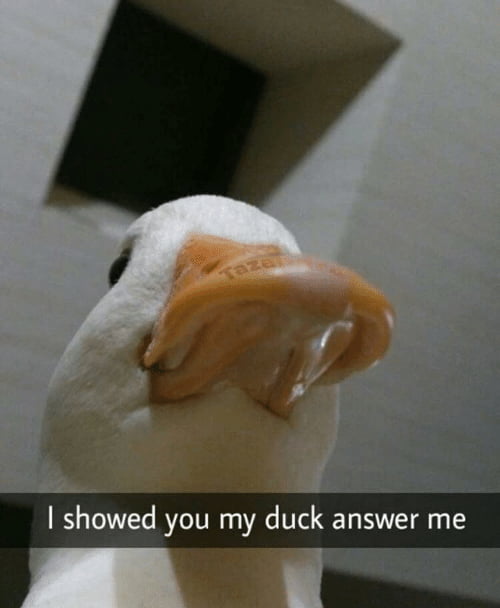 Pls answer me - 9GAG