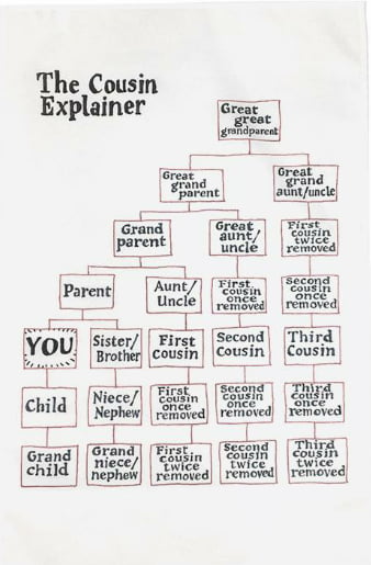 The cousin explainer - 9GAG