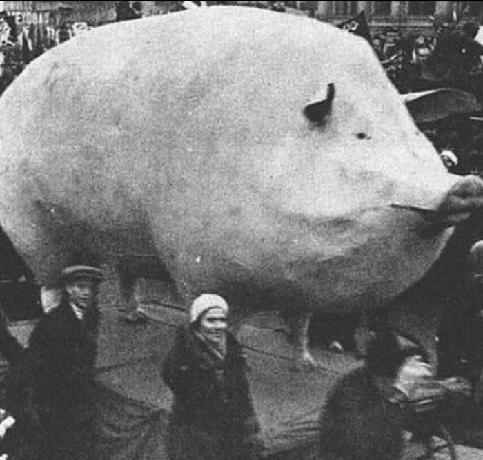 Fat acceptance movement - 9GAG