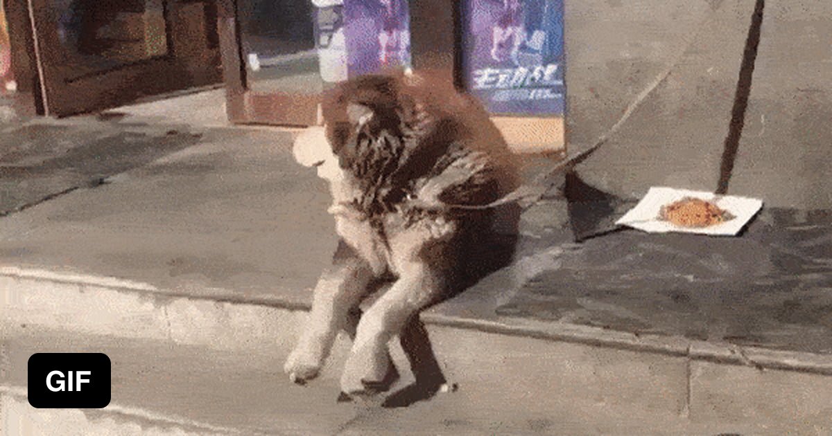This good boiiiii omg - 9GAG