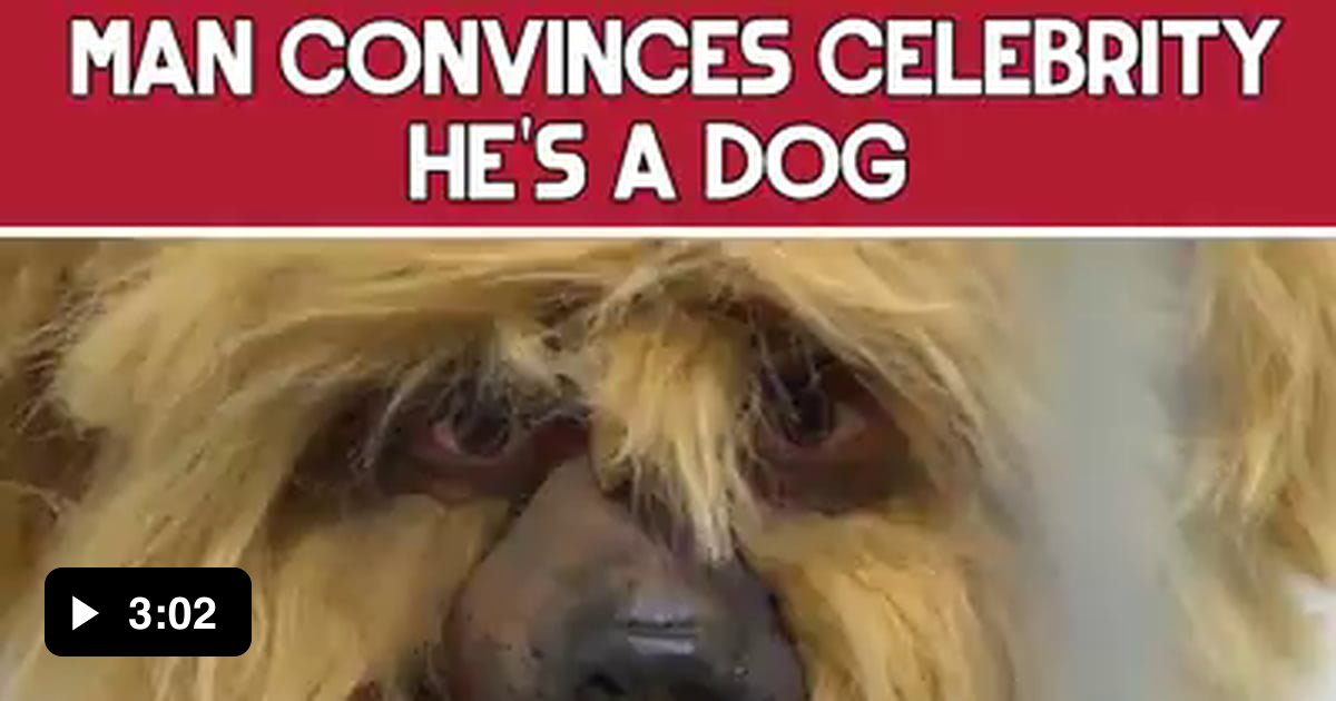Man convinces celebrity he's a dog. - 9GAG