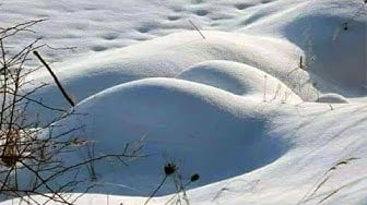 Cheeks of Frostbite - 9GAG