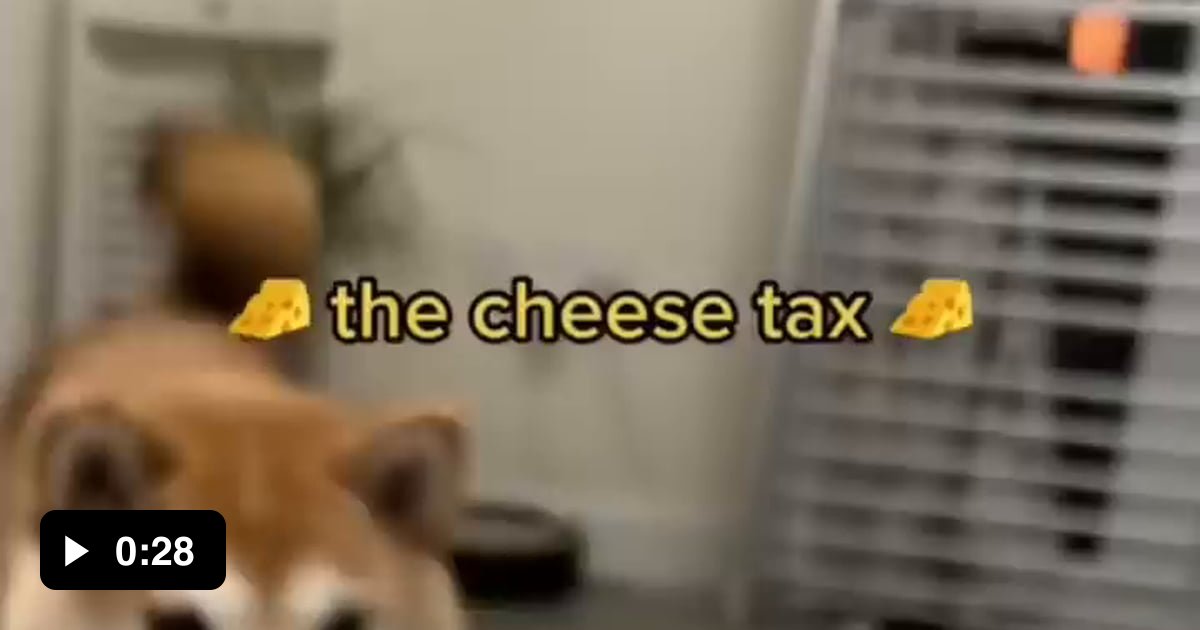 What are the consequences of committing Cheese Tax Evasion - 9GAG