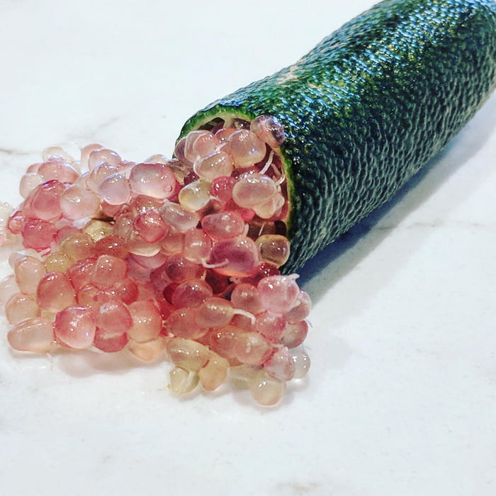 Australian finger lime. You can see the dinglebop and the schleem just ...