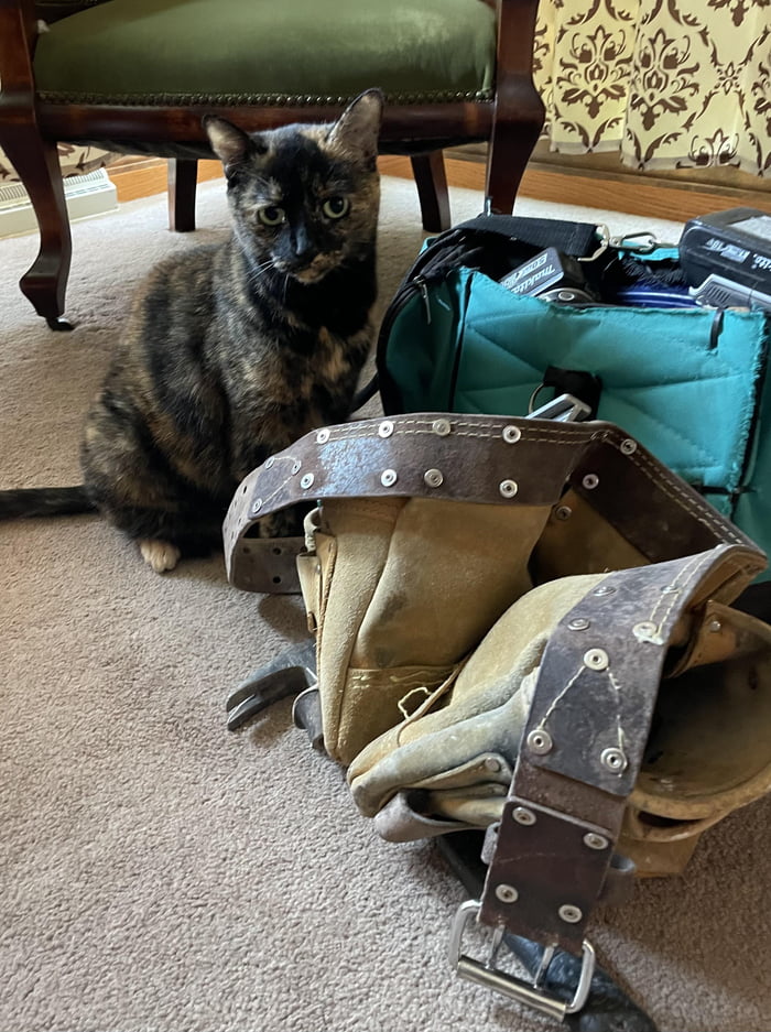 New job in construction. - 9GAG