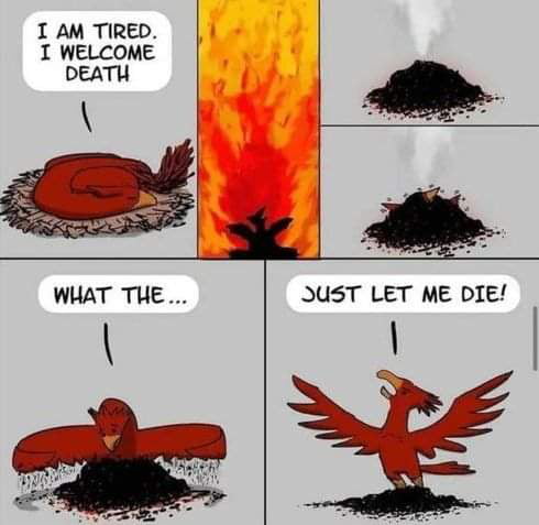 Phoenix problem - 9GAG