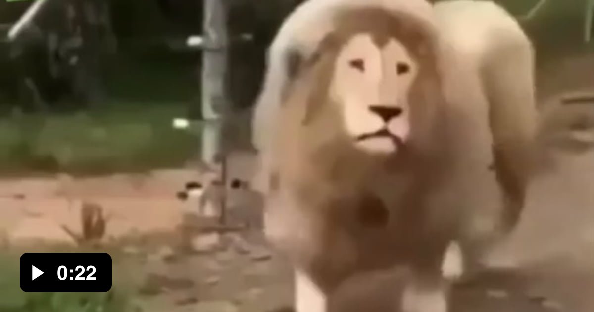 Gangster Rap These Days 9gag 8810