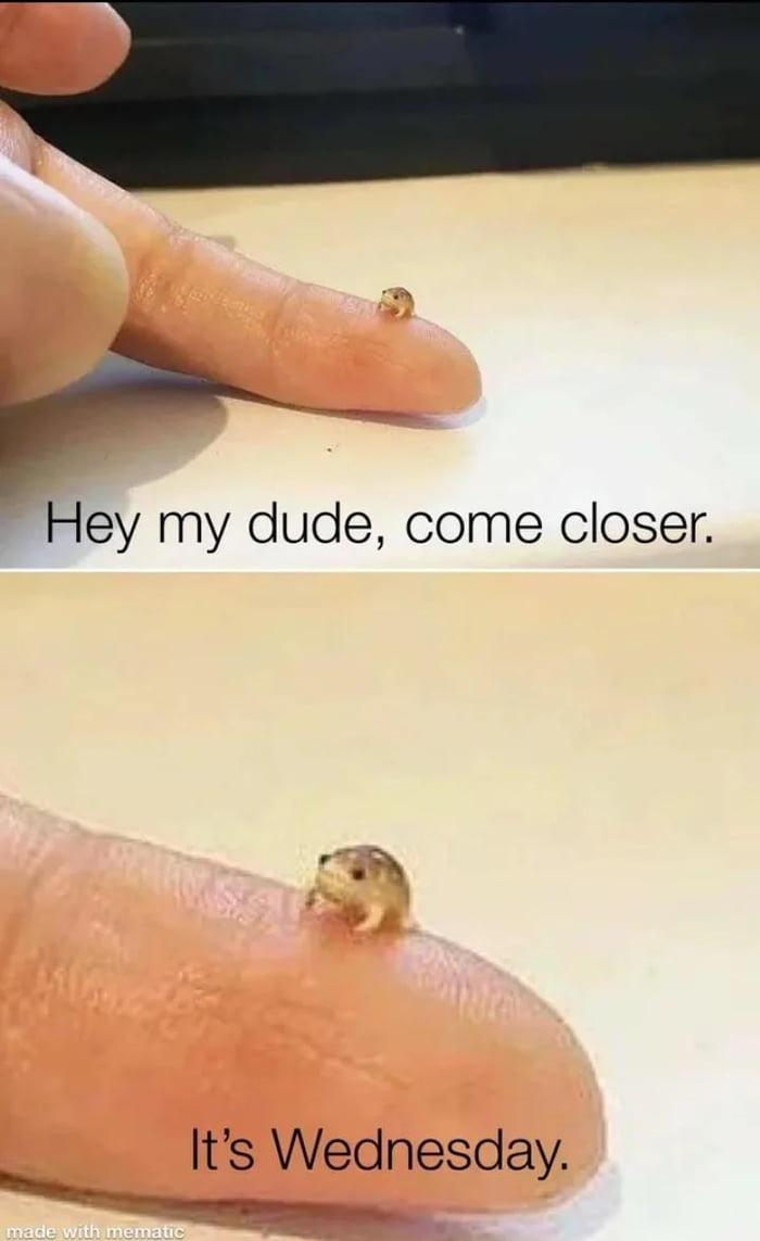 My dudes - 9GAG