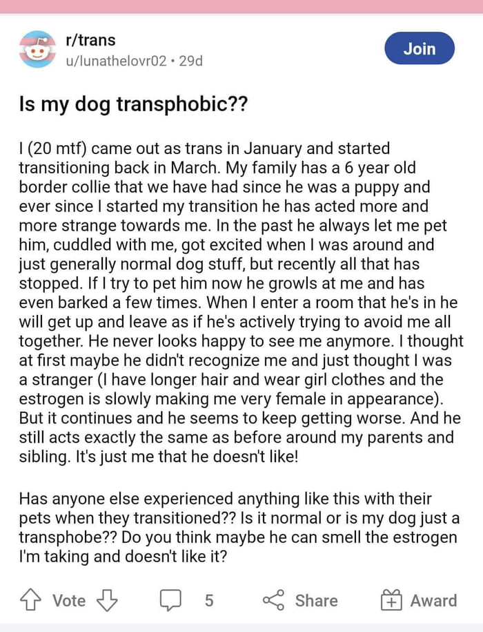 Doggo did nothing wrong. - 9GAG