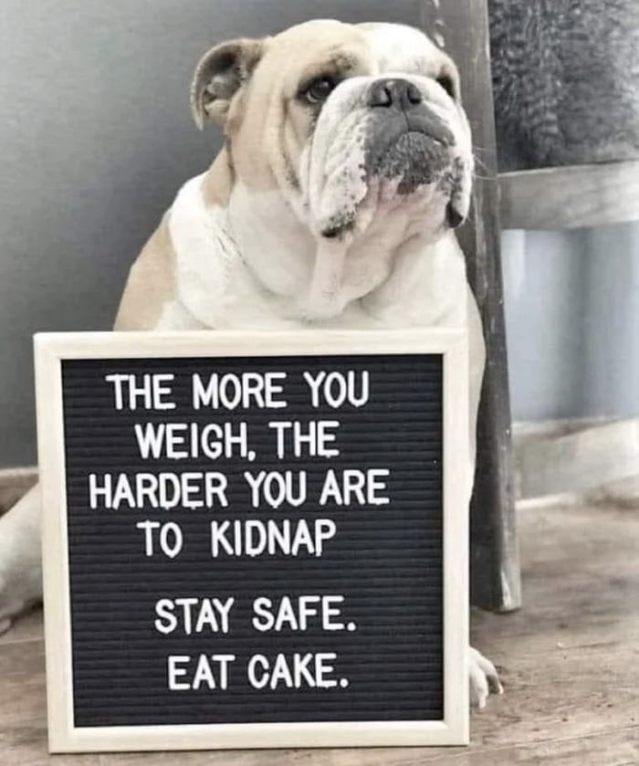 Wise words from doggo - 9GAG