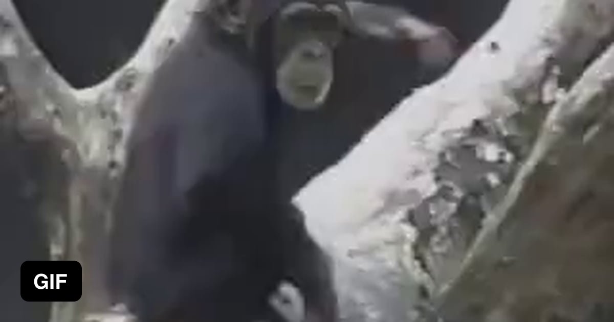 This one is older than some of you - 9GAG