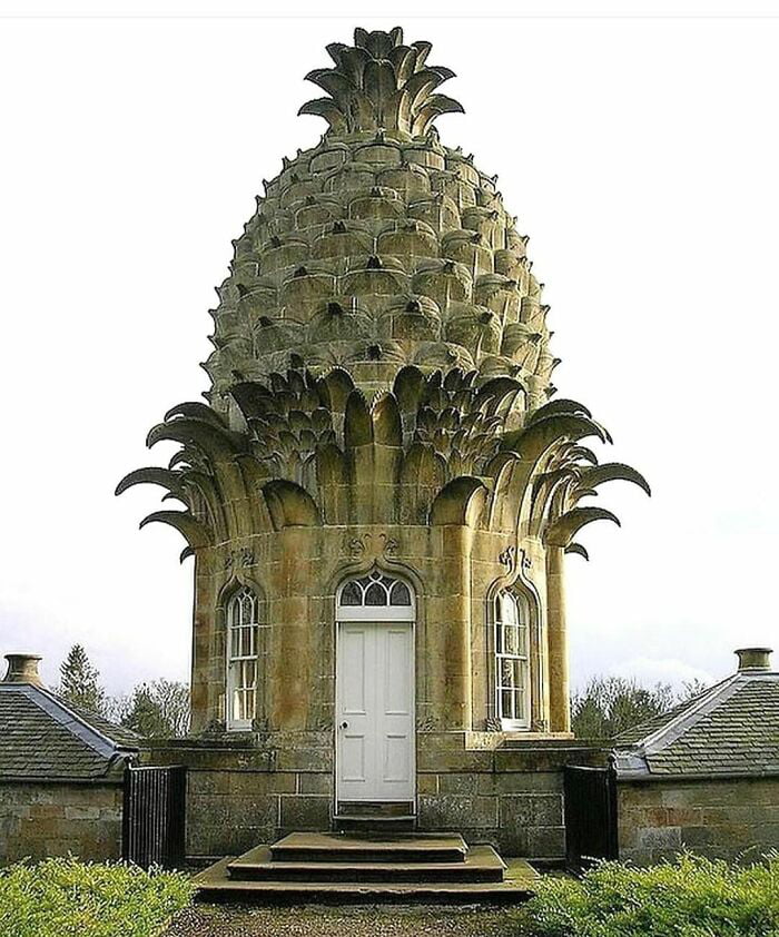 Whoooo lives in a pineapple - 9GAG