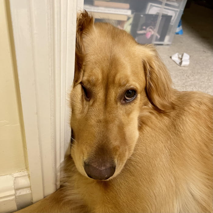 She swears this is a comfortable chilling position. - 9GAG