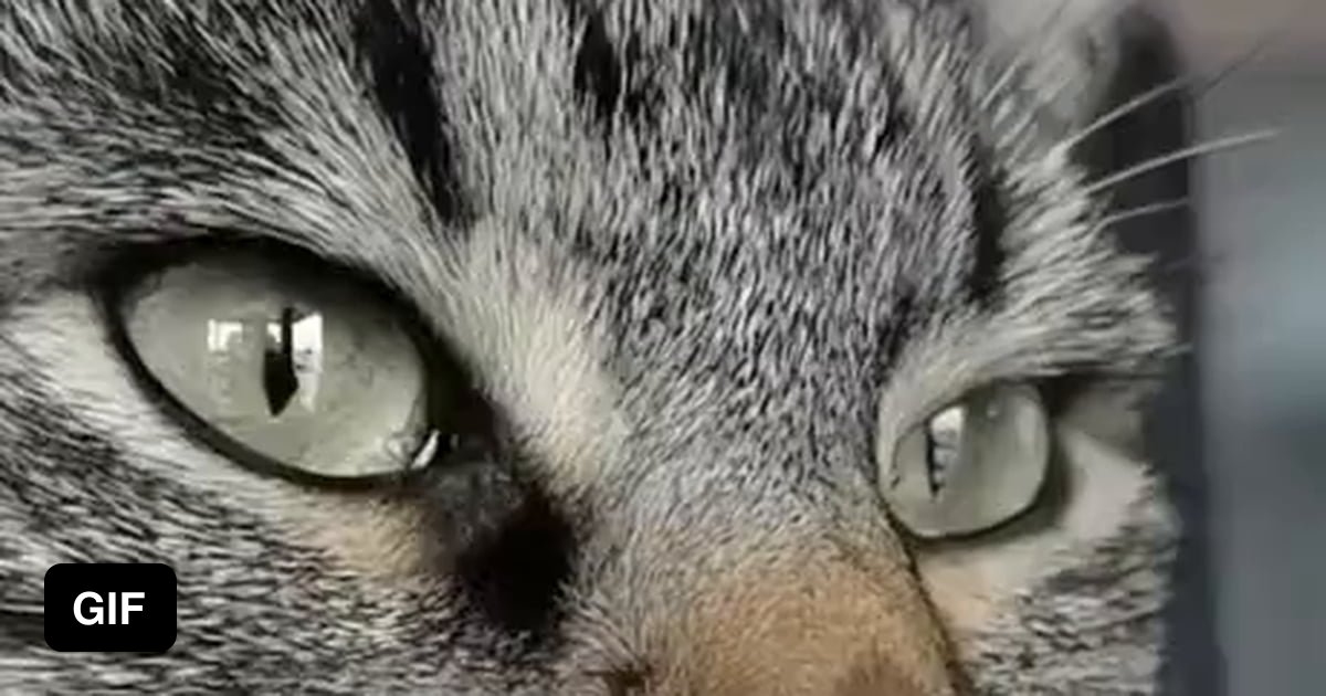 I need more pixels. Share your highest quality from your armory. - 9GAG