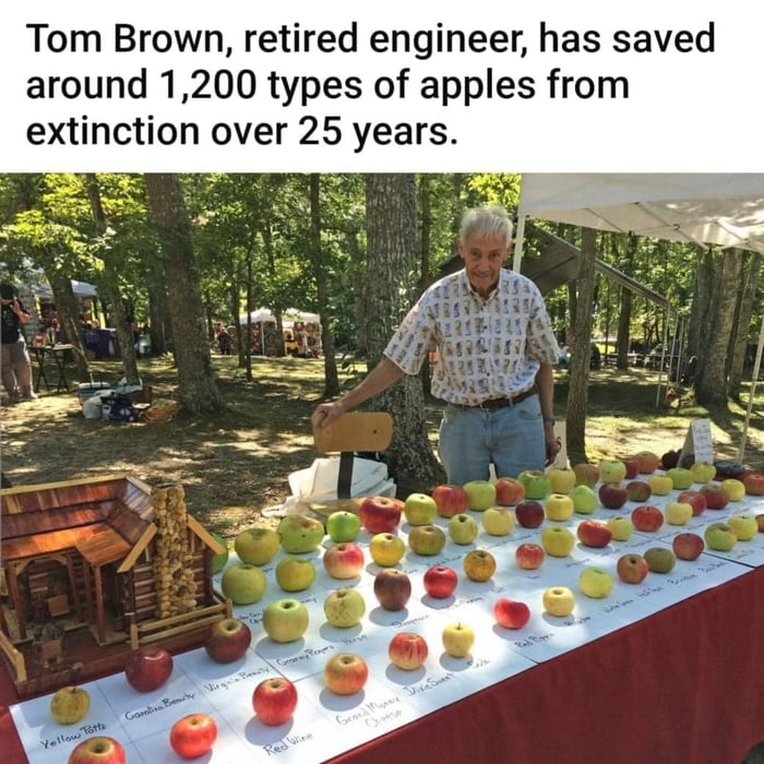 He really likes apples - 9GAG