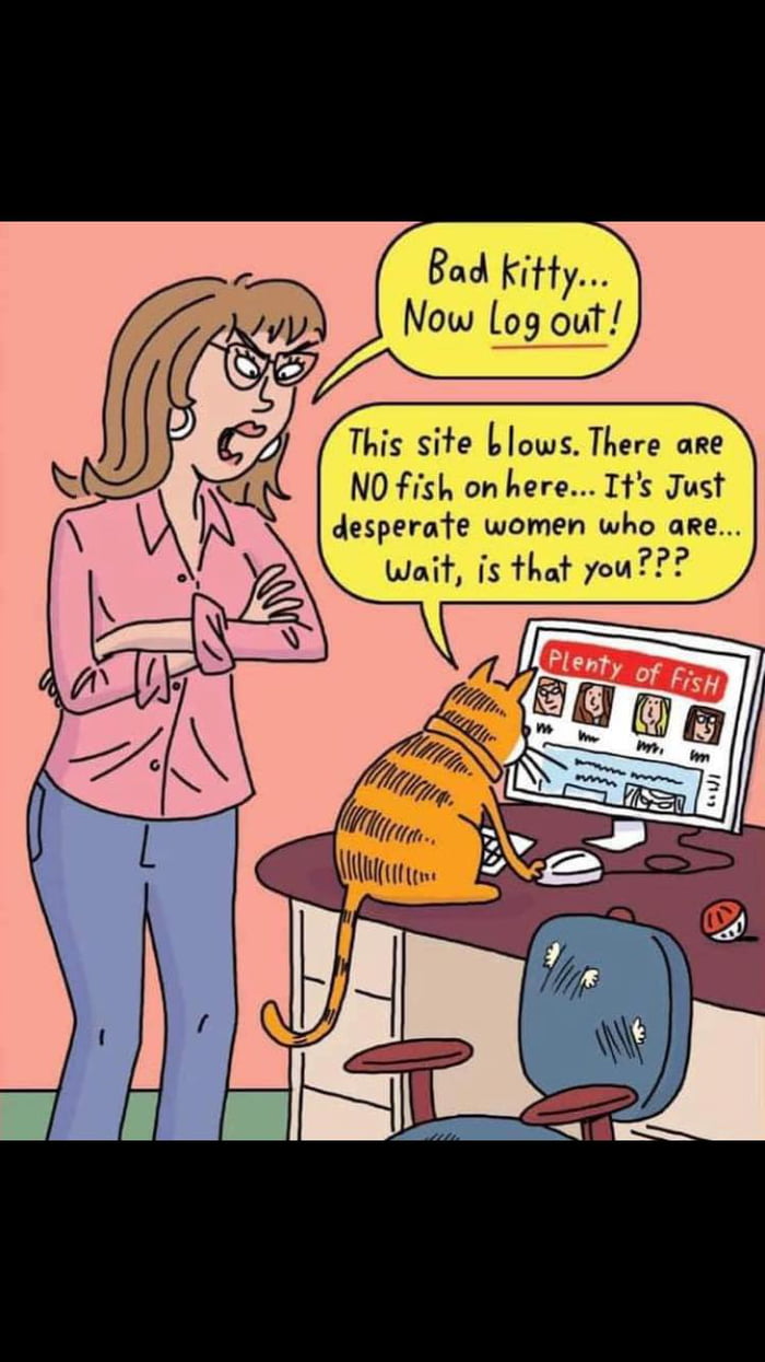 The catto knows things - 9GAG