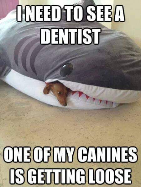 Tooth-hurty PM - 9GAG