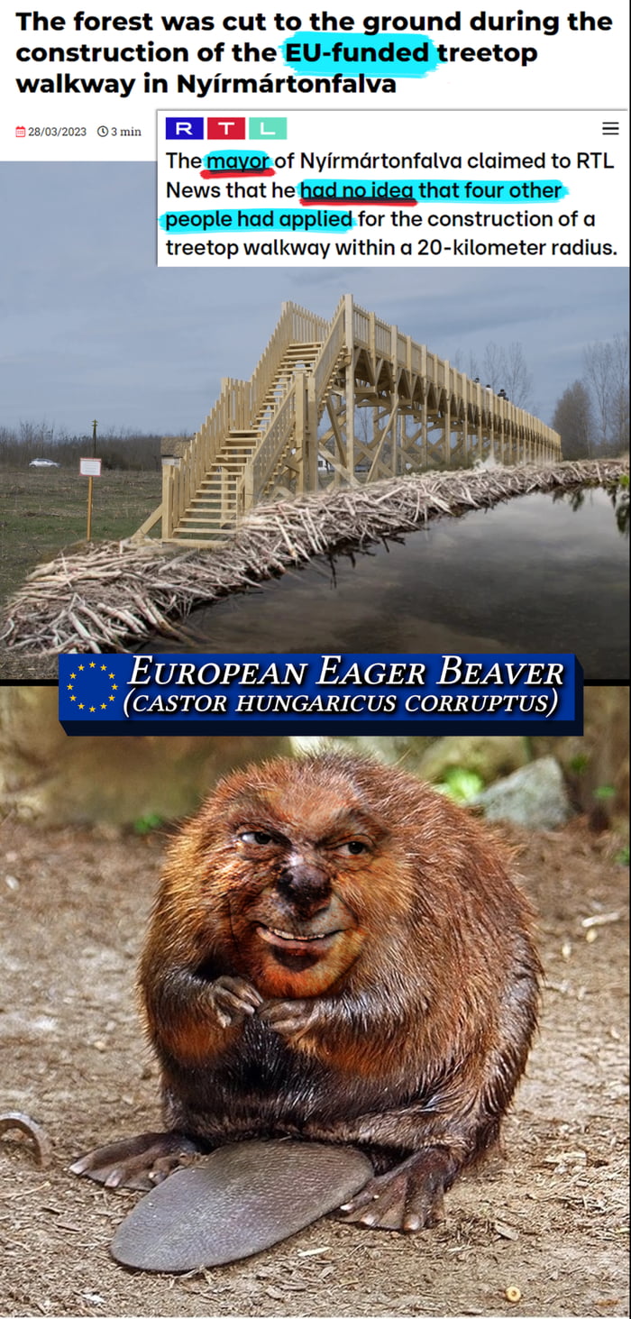 To this day the mayor can't stop talking about his ugly beaver dam. And it gets better and ...