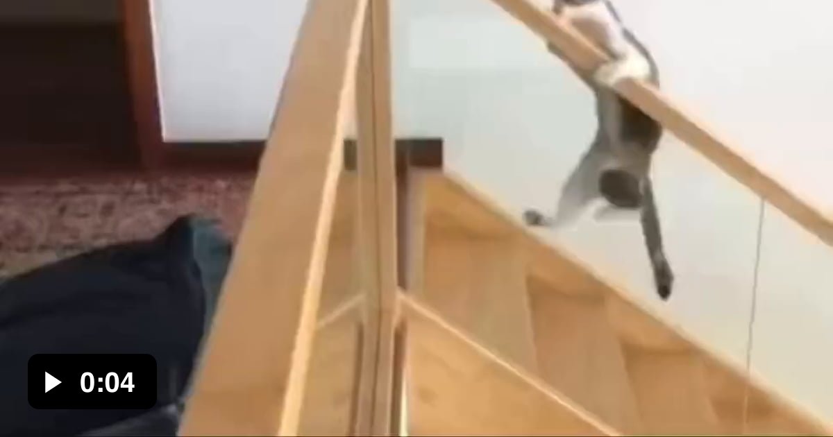 Too lazy to walk - 9GAG