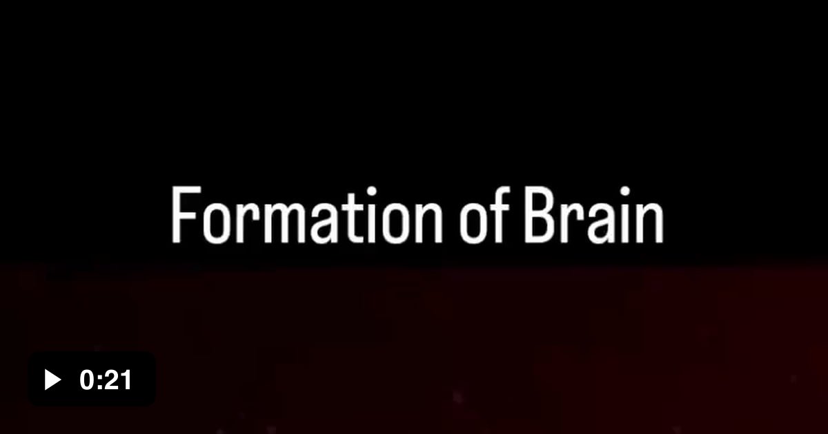 Formation of the Brain - 9GAG
